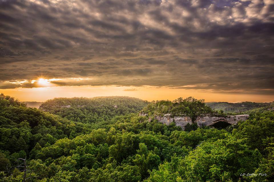McCreary Tourism
